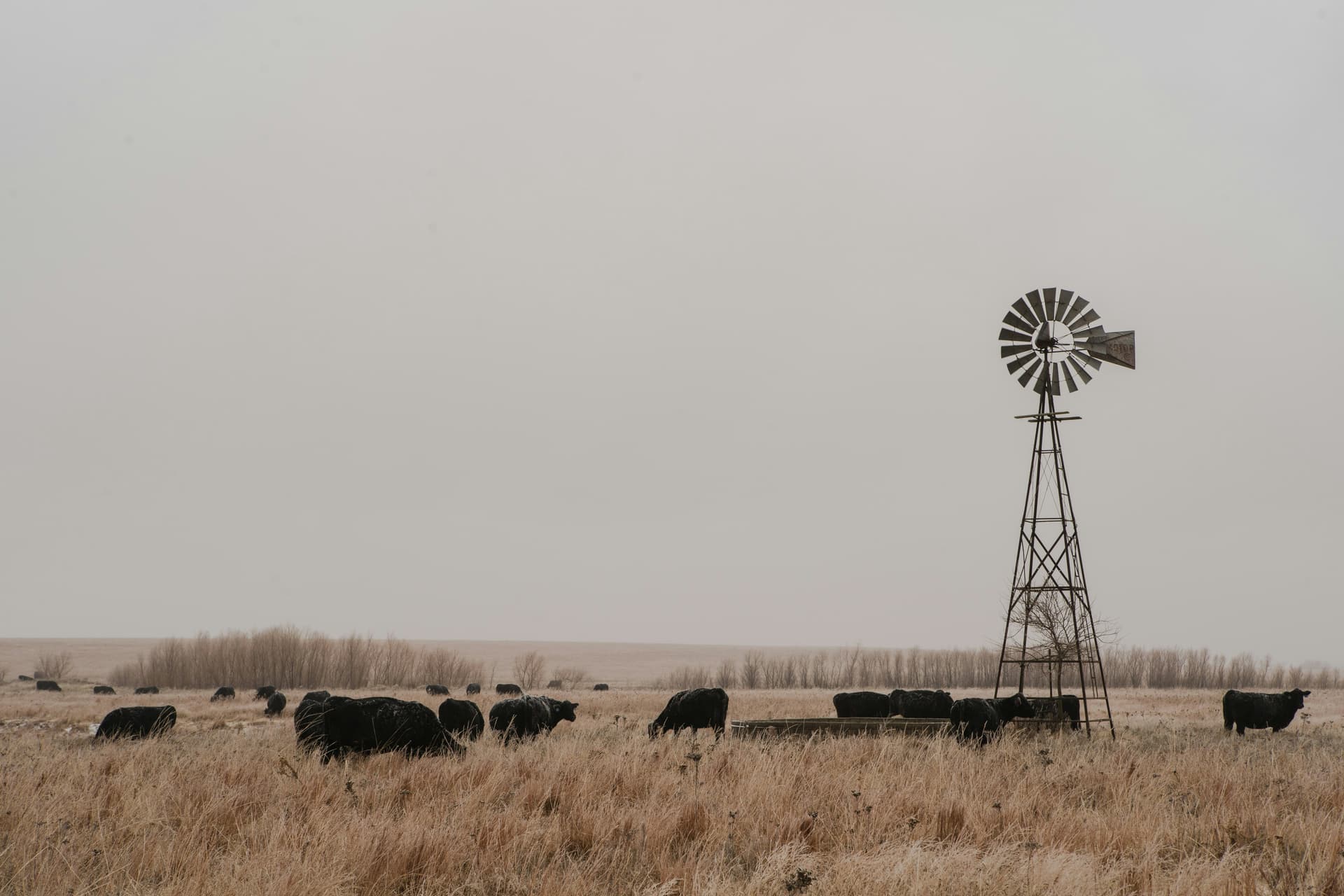 Kansas Unclaimed Property Search | unclaim.ai - Find Lost Money in KS